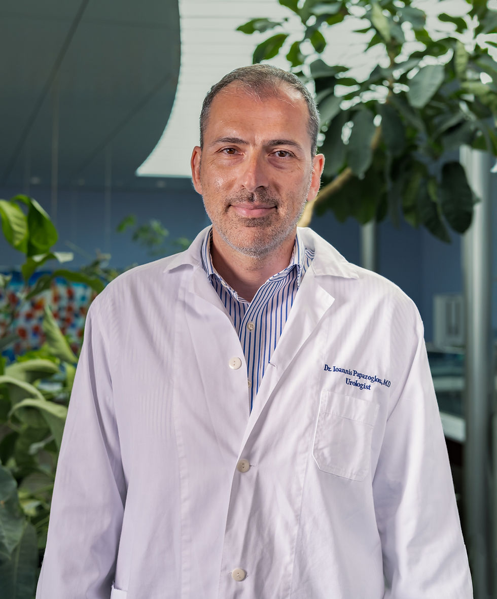 Dr Ioannis Papazoglou Dr Ioannis Papazoglou
